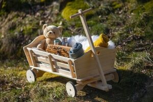 Den beste trillevogn/tralle: Best i test 2024 - Barnetopplisten